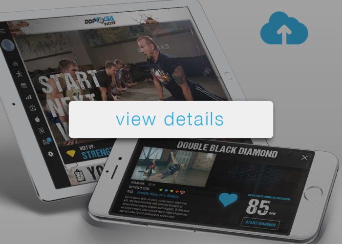 App Basics – DDPY Program Guide